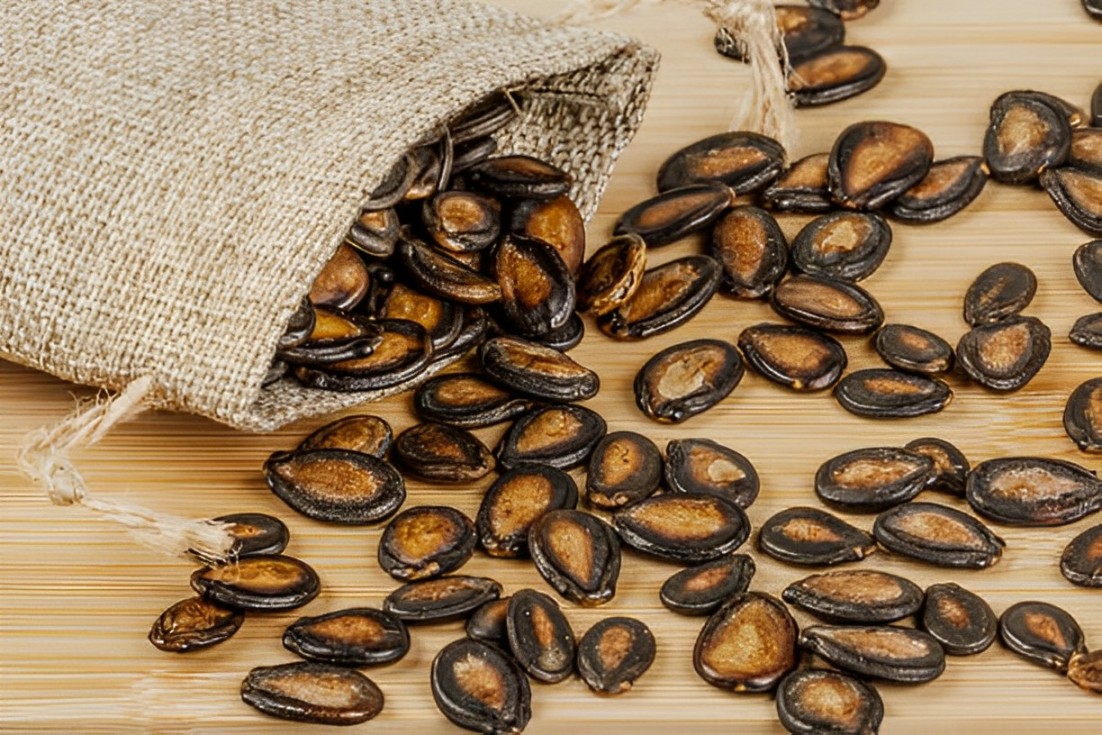 Watermelon Seeds – Cropiex